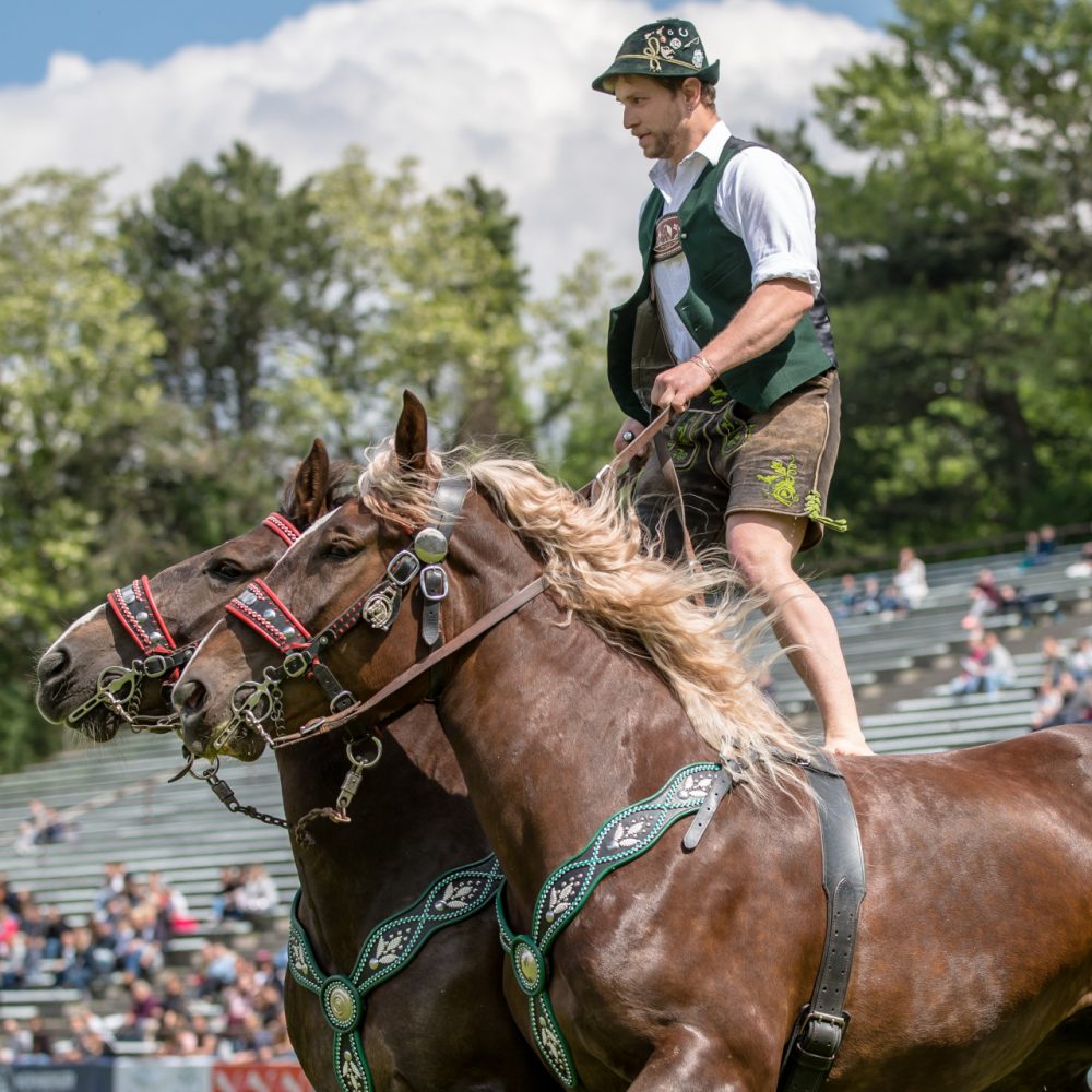 Show Program - Pferd International Munich